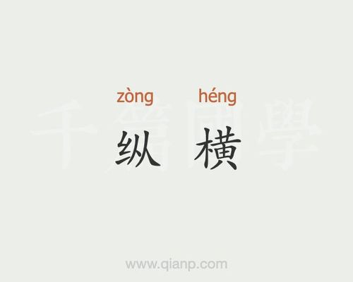 纵横意思截图