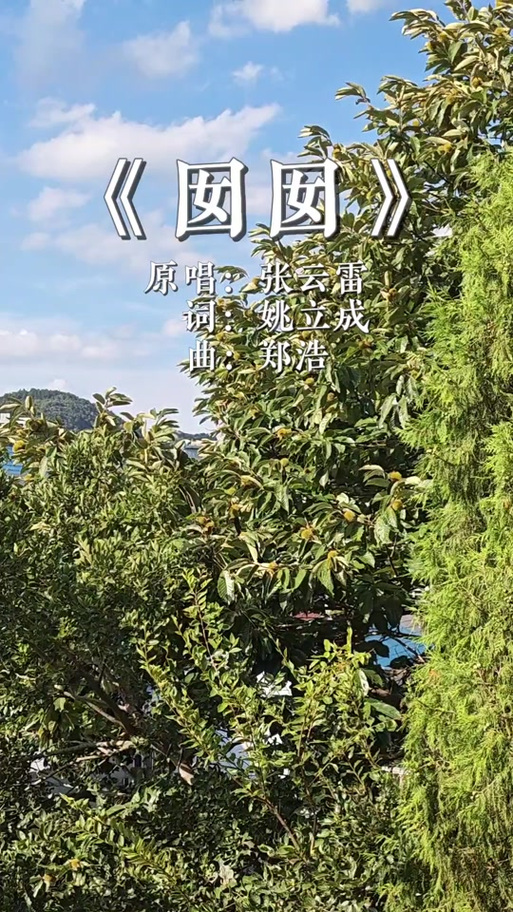电影《囡囡》2粤语图标