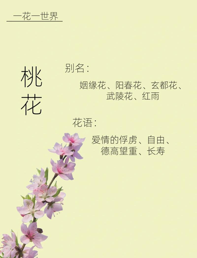 大少逗桃花四月小说截图
