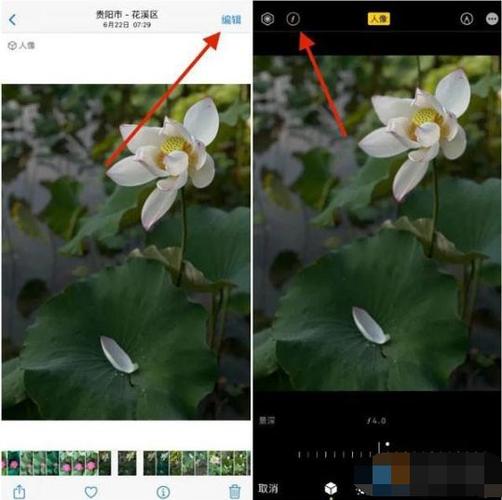 原相机怎么虚化背景截图
