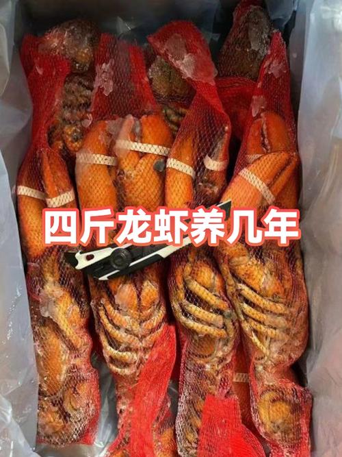4个人吃龙虾大概多少斤图标