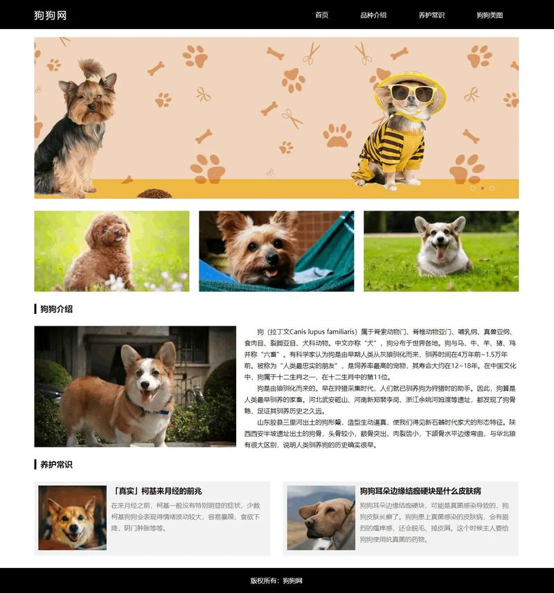 狗狗书籍网站图标