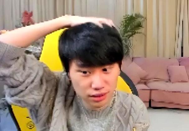 doinb 直播图标