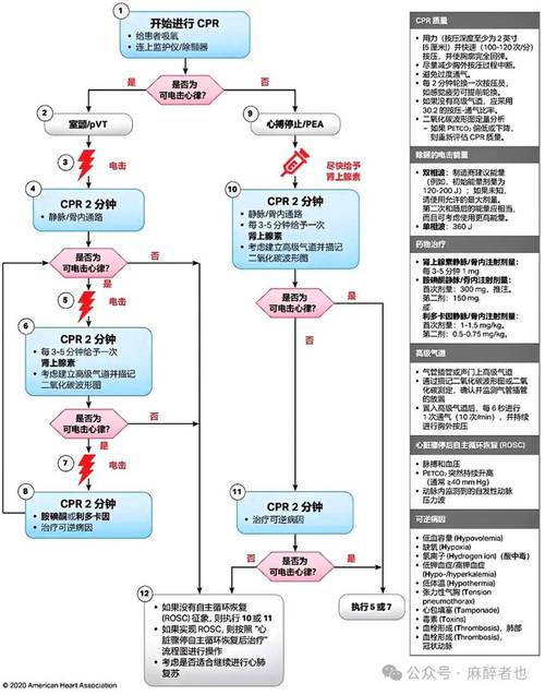 1-5复苏的逆转流程截图