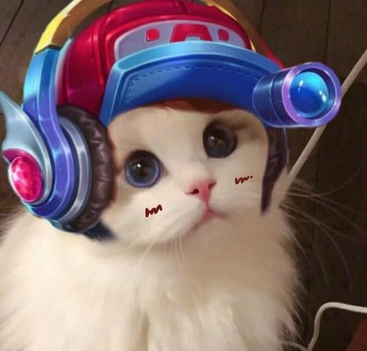 王者荣耀的猫咪图标