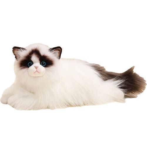 布偶猫玩偶图标