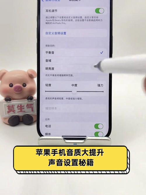 苹果声音怎么调大图标
