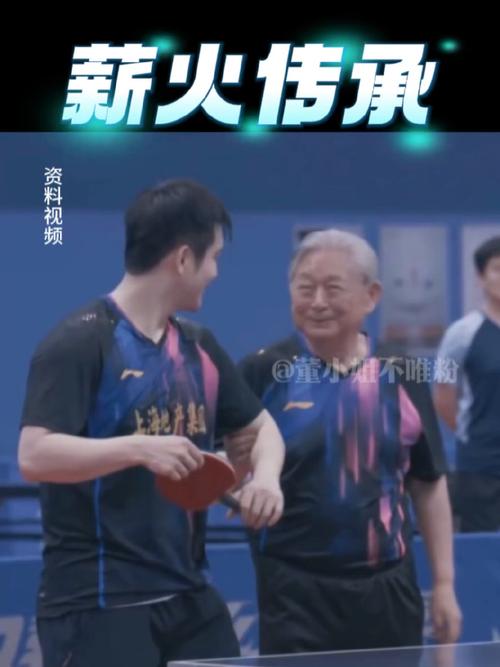 徐寅生十二大板战星野截图