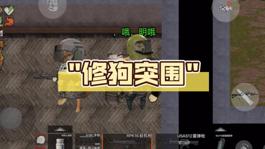 修狗摸金行动下载入口图标