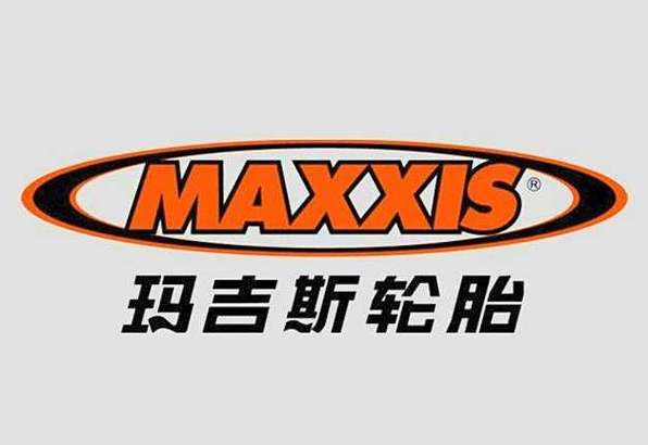 玛吉斯轮胎图标