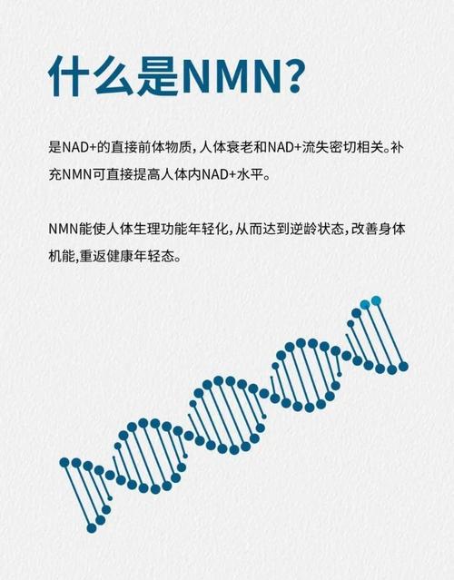 abe nmn图标