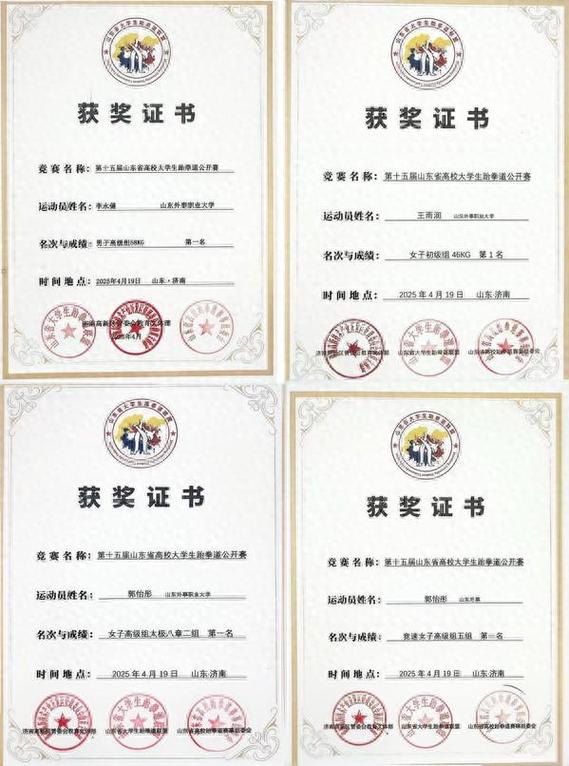 跆拳道证书查询入口官网图标