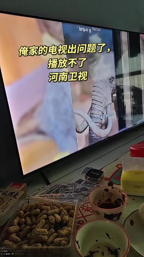河南卫视回放图标