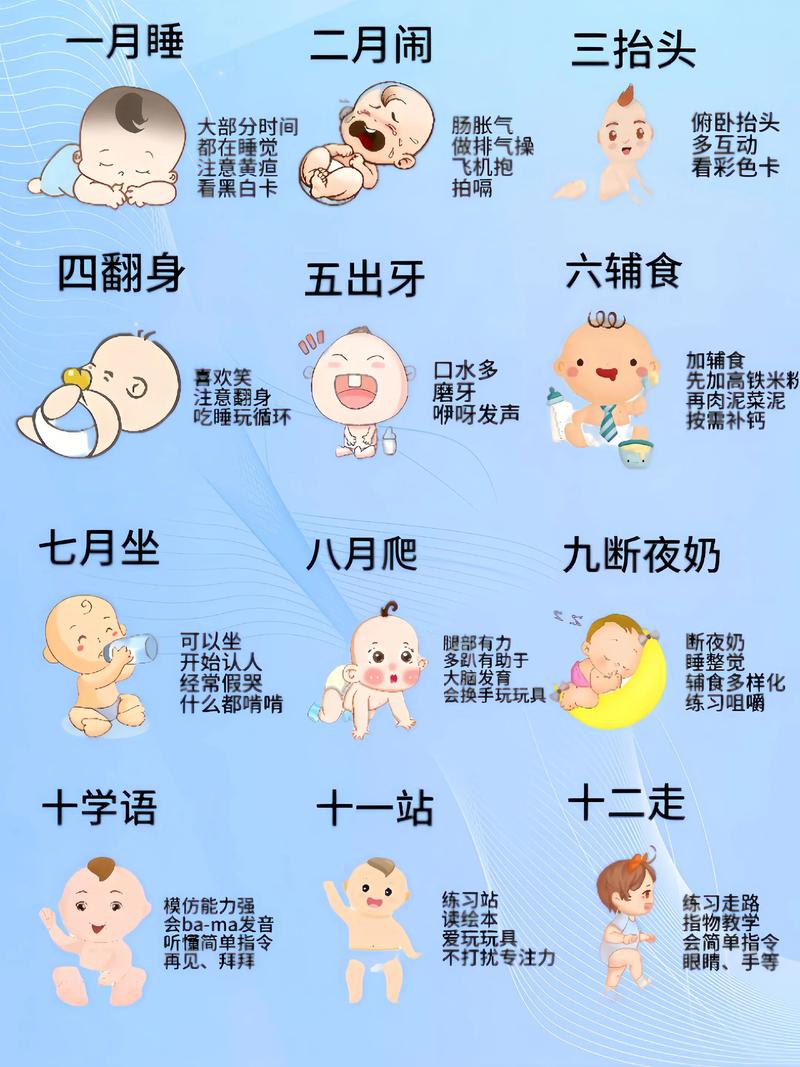 百天宝宝规律图标