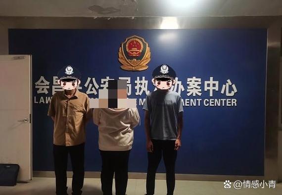 被网警抓了会怎么处理图标