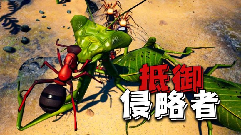 无能君解说带你养蚂蚁截图