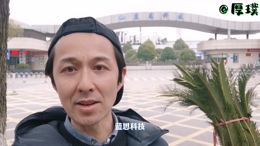 蓝思飞鸽互联下载版本