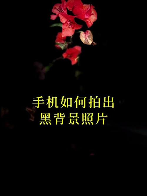 苹果手机拍照背景怎么调成黑色图标