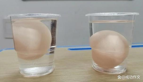 鸡蛋的趣味实验图标