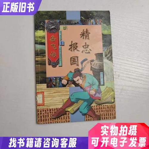 精忠报国岳飞全传图标