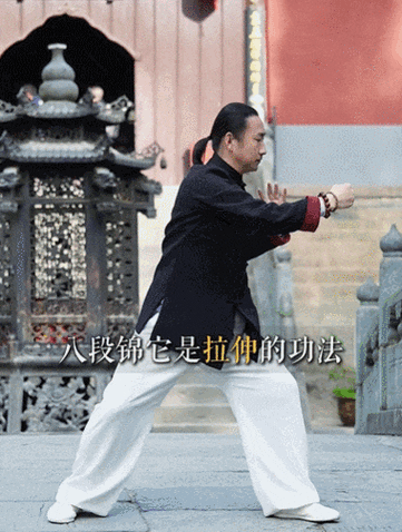 李再峰八段锦原版播放图标