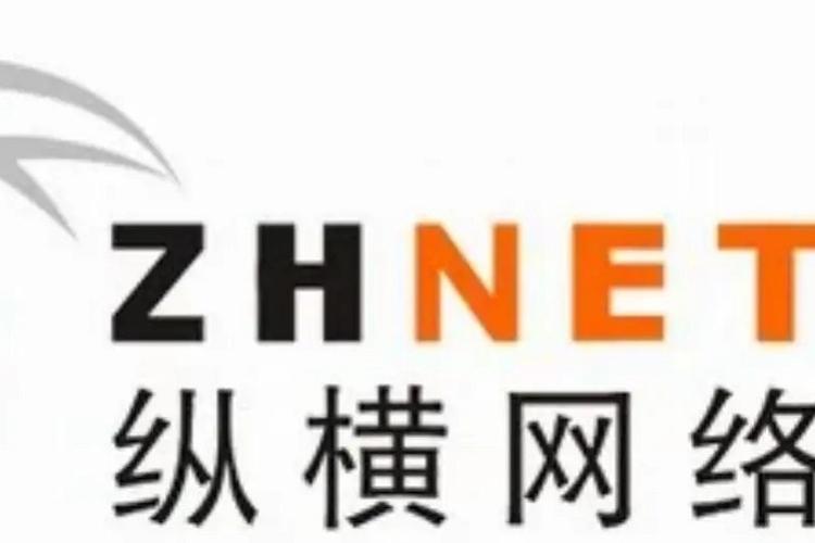 纵横网络图标