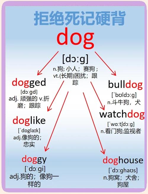 animals的音标截图