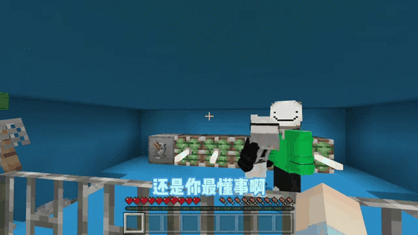 我的世界变性挑战