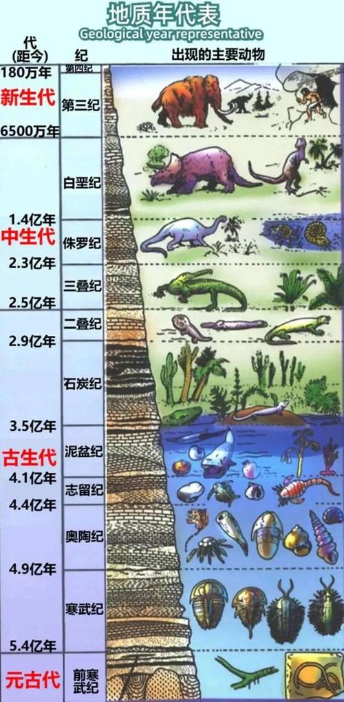 地球进化史纪录片90分钟观看图标