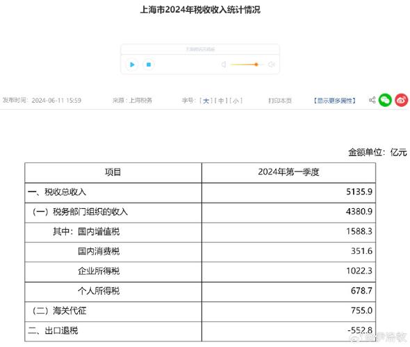 在国外能用上海电子税务吗截图