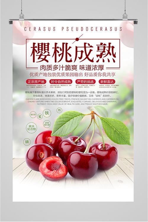 樱桃广告语、宣传语图标