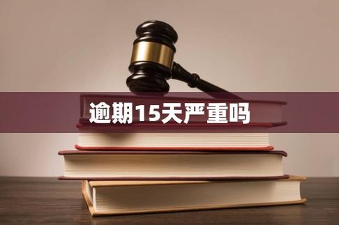 逾期15天严重吗图标