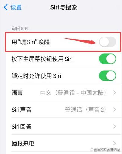 苹果怎么设置嘿siri图标