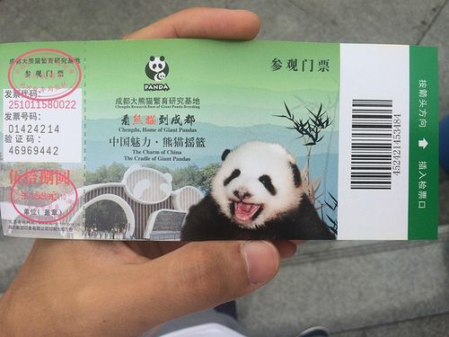 大熊猫基地门票图标