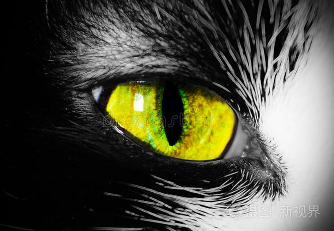 装在猫眼上的摄像头图标