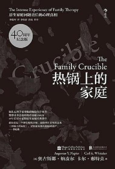热锅上的家庭电子版截图