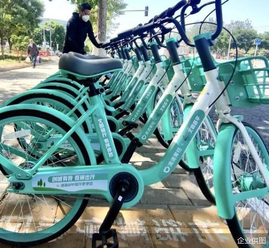 青桔单车24小时人工客服电话图标