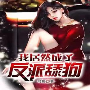 叶枫小说主角