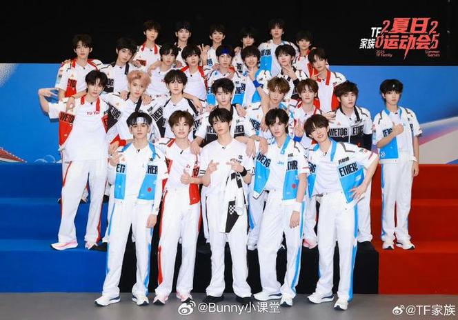 TF家族图标