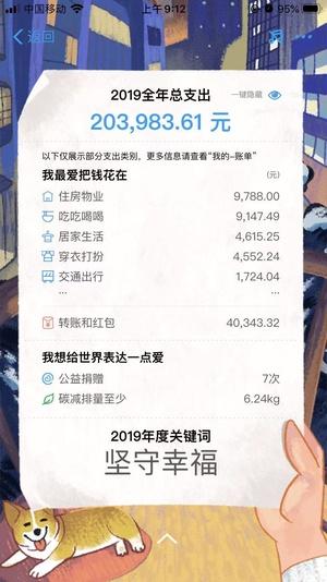2019支付宝年度账单截图