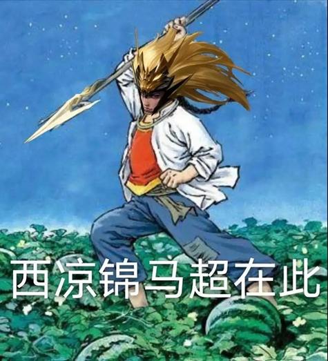 西凉锦马超台词图标