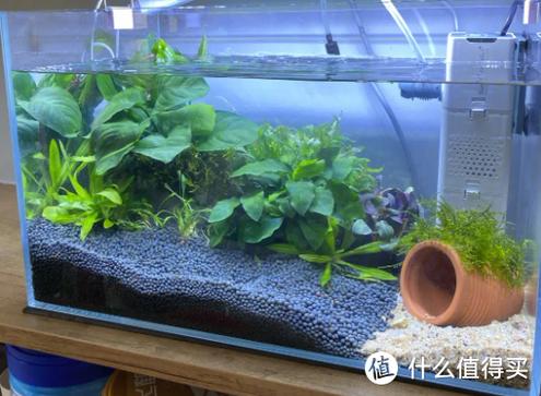 鱼缸里的水浑浊最简单的处理方法图标