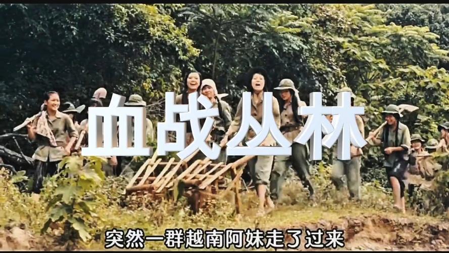 丛林血战全集在线观看图标