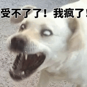 疯狗表情包截图