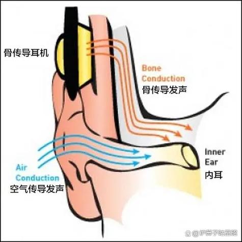 耳机固定夹怎么使用截图