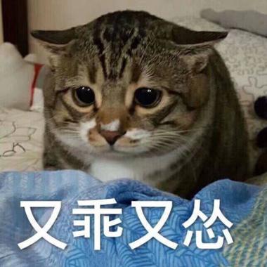 怂图片 表情包图标