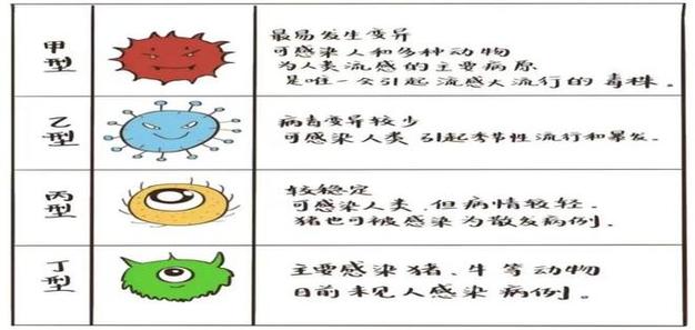 病毒分为几大类图标