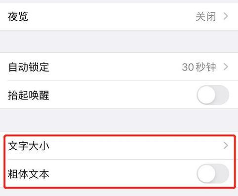 iphone11显示字体好小图标