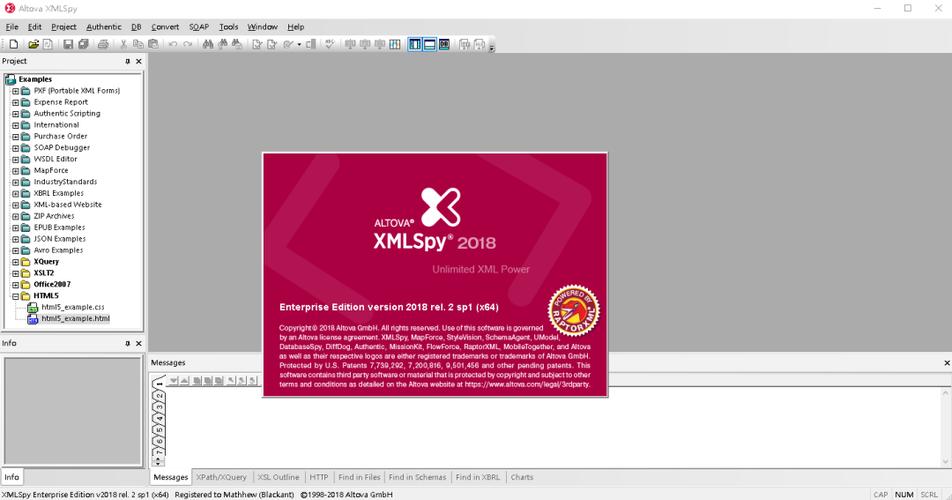 xmlspy安装截图