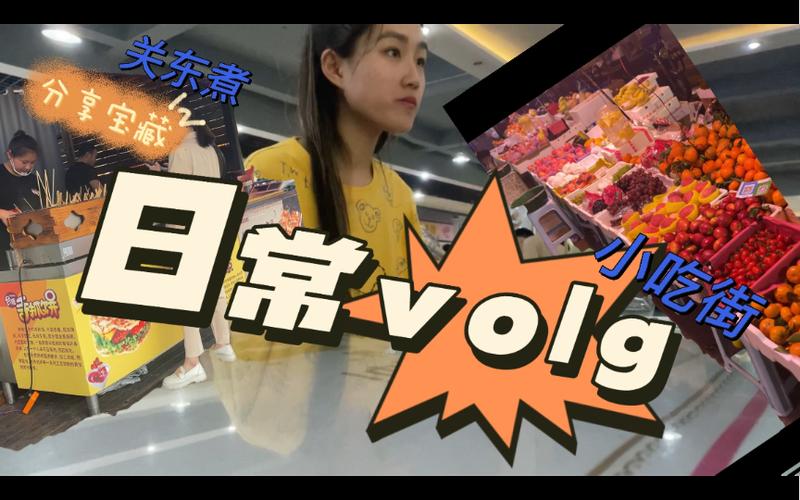 volg中文啥意思图标